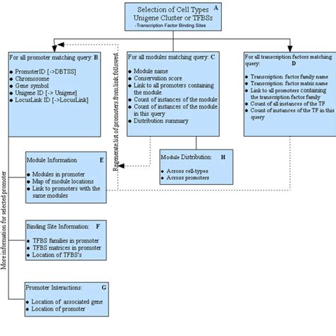 The System User Interface Design Panels A H Show The Data Available Download Scientific