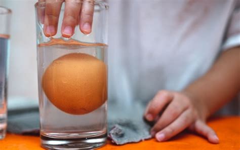 warm water trick for hatching eggs how does this work learnpoultry