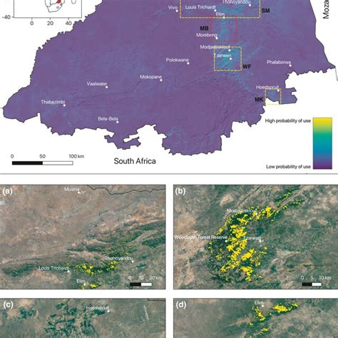 Scale‐integrated Resource Selection Function Srsf Predicting Download Scientific Diagram