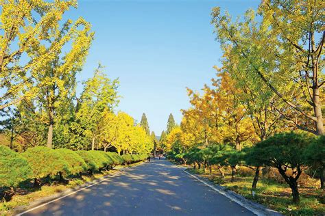 [여기 어때요] 오늘 하루 경주 경주에서의 알찬 하루