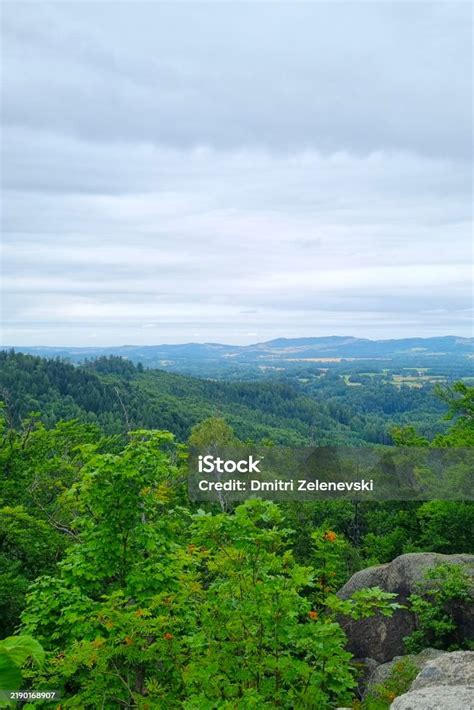 자연 애호가를 위한 울창한 숲이 우거진 언덕과 광활한 하늘의 경치 좋은 전망 0명에 대한 스톡 사진 및 기타 이미지 0명 경관 경외감 Istock