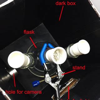 Interior Of Device For RGB Analysis Download Scientific Diagram