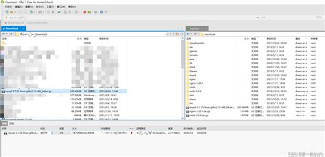 【linux安装mysql数据库详细步骤】数据库来一杯java☕ Damo开发者矩阵