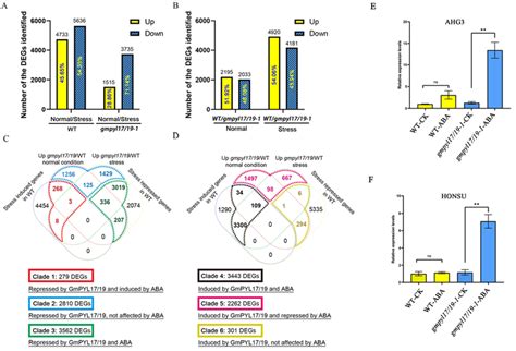 Overview Of The Rnaseq Analysis And The Six Clades Of Degs Regulated By