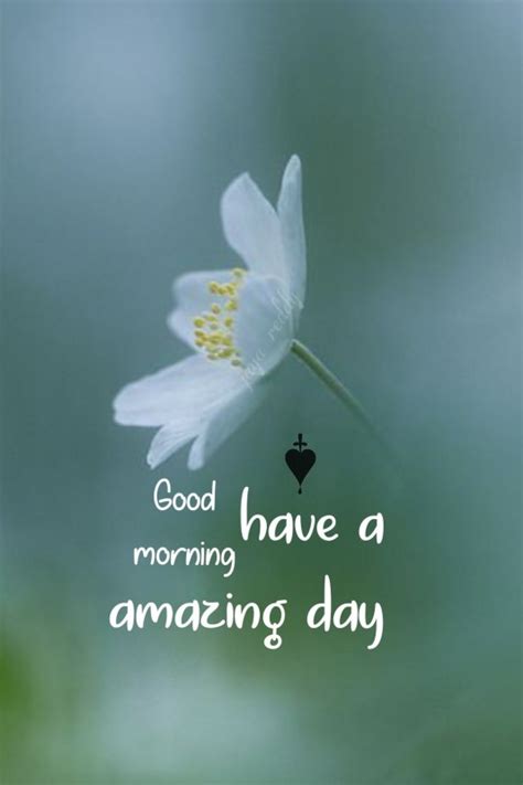 Having A Amazing Day Desi Comments