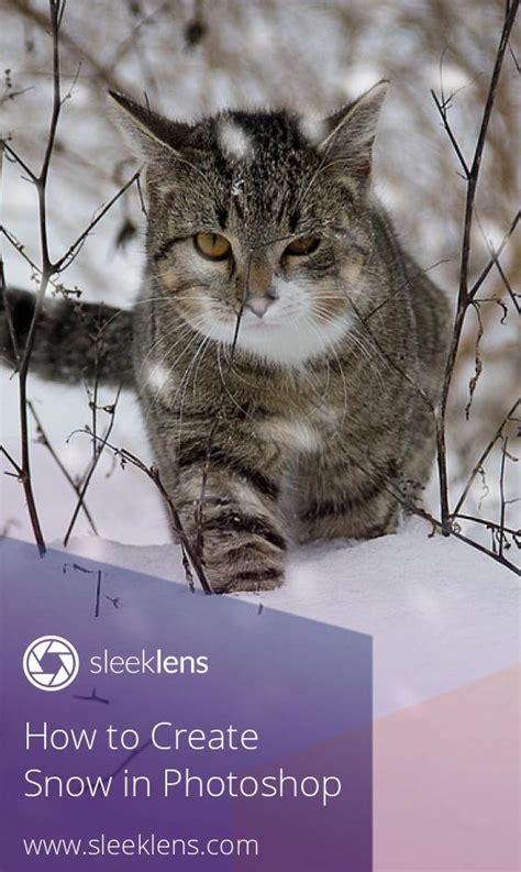 How To Create Snow In Photoshop