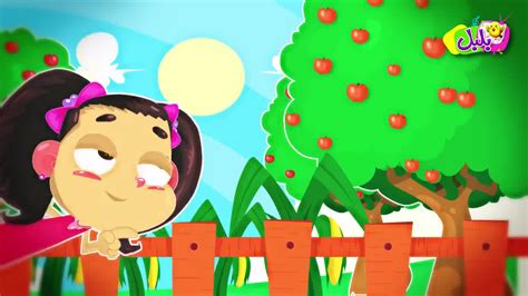 أجمل أغاني طيور بيبي تشاهدونها ماما جابت بيبي ألوان الحلوصاريحبي