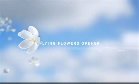 30 Best Davinci Resolve Intro Templates Openers 2025 Theme Junkie