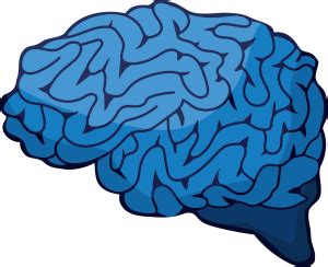 Visual Memory Types Importance How To Improve Edublox Online Tutor