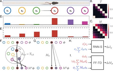 Neural Learning Rules For Generating Flexible Predictions And Computing The Successor