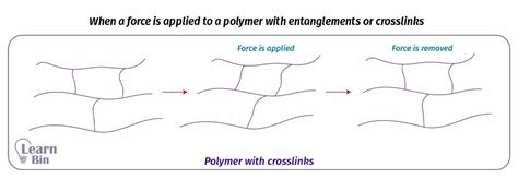 Basic Concepts Of Rubber Elasticity Learnbin