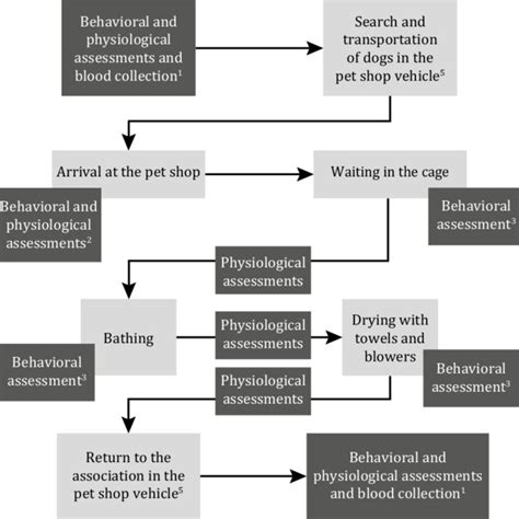 Dendrograms Resulting From Hierarchical Clustering Of Grooming Steps