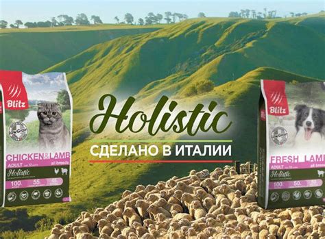 Шерсть и кожа здоровой собаки