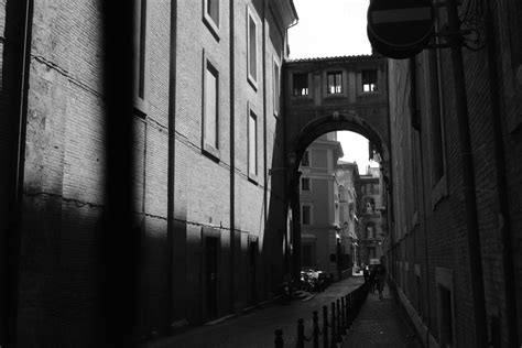 무료 이미지 빛 검정색과 흰색 건축물 도로 화이트 거리 골목 아치 어둠 검은 단색화 조명 하부 구조 대칭 모양 흑백 사진 필름 누아르
