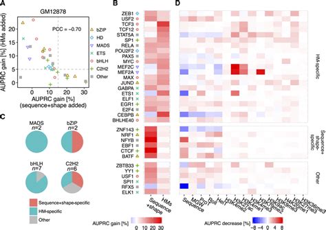 Deconvolution Of Dna Sequence And Shape Features At Flanking Regions