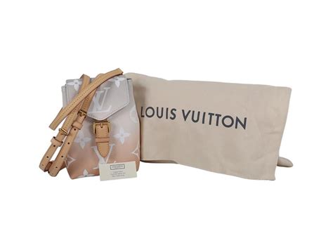 Louis Vuitton Giant By The Pool Tiny Backpack For Sale At 1stdibs Louis Vuitton Clear Box