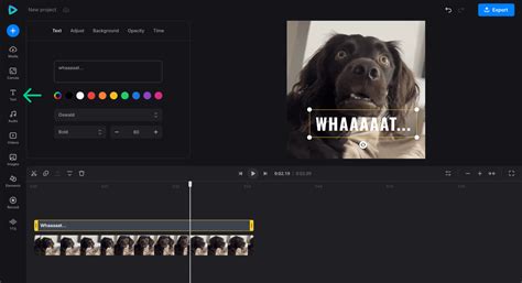 Easily Add Caption To  A Simple Guide For Your Animated Images — Clideo