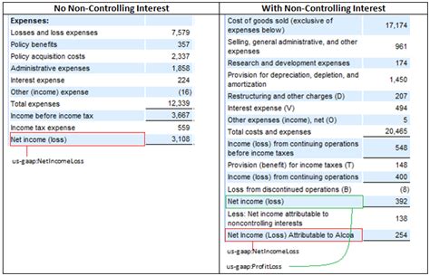 1 1 9 Specific Non Controlling Interest Elements XBRL US