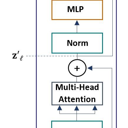 The Architecture Of The Transformer Encoder Download Scientific Diagram
