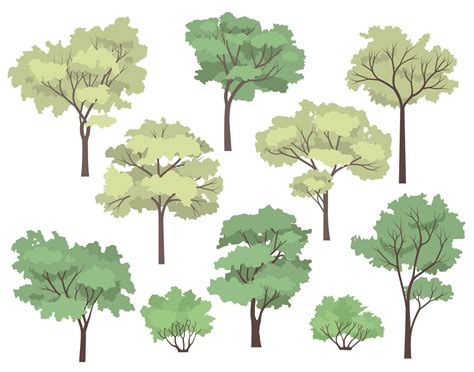 10 Set Of Flat Vector Trees Clipart Flat Vector Plant Illustration AI SVG PNG Etsy