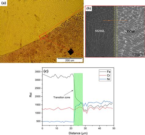 A Optical Microstructure Of The Interface Between Layers 7 And 8 B