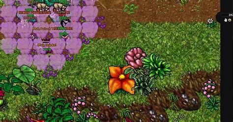 Resultado Do Bug Album On Imgur