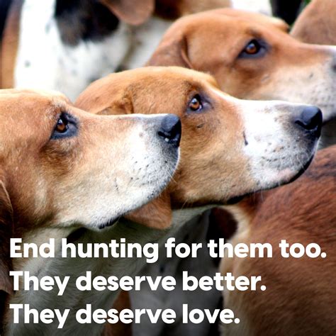 Protect the Wild (@ProtectTheWild_) / Twitter