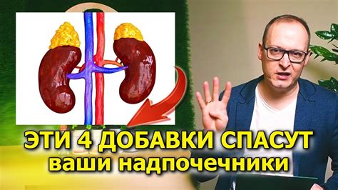 Усталость надпочечников. Топ добавки, чтобы поддержать ваши ...