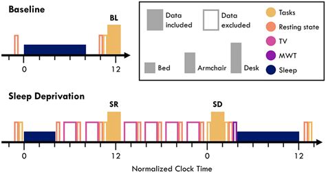 Sleep Deprivation Effects Timeline