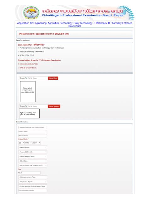sample application pdf