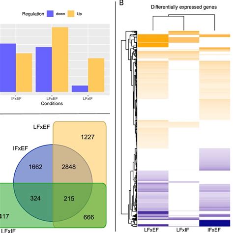 Differential Gene Expression Profiles During Different Cotton Flower