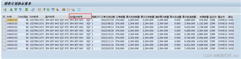 Abap Alv输出前面空格alv 输出空格 Csdn博客