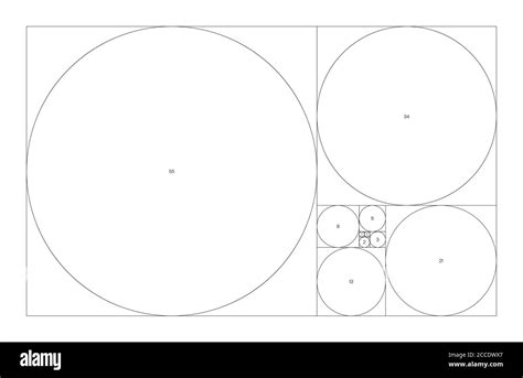 Fibonacci sequence of circles. Golden ratio geometric concept. Vector illustration Stock Vector ...
