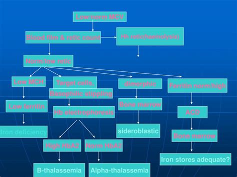 Ppt Anaemia Powerpoint Presentation Free Download Id4385642