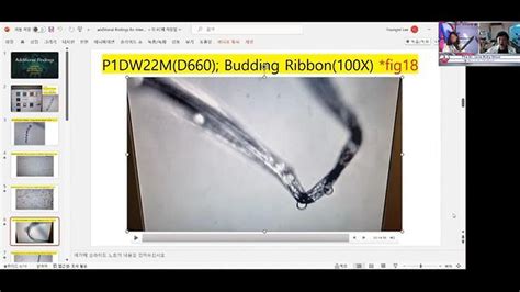 Exclusive Pfizermoderna Shots Building Biohybrid Bots Dr Jane Ruby