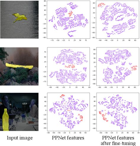 Figure 1 From Cross Domain Few Shot Segmentation With Transductive Fine