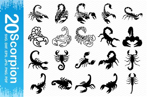 20 Scorpion Clipart Graphic By Blueflex · Creative Fabrica