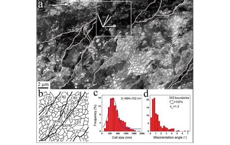 A A Cross Sectional Tem Observation Of The Deformation Download