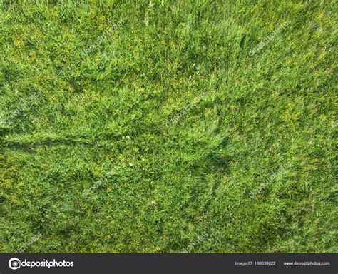 Grass With Flowers Top View