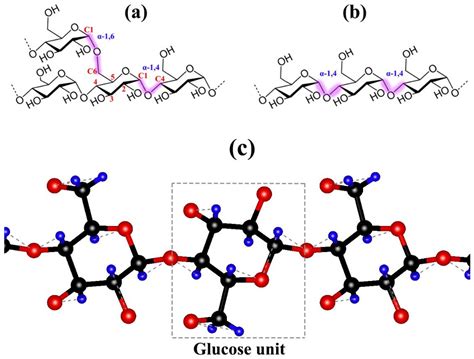 Chemical Structure Of Simple Starch