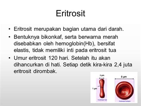 BAB SISTEM PEREDARAN DARAH By Anna Laura Silaban S Si Ppt Download