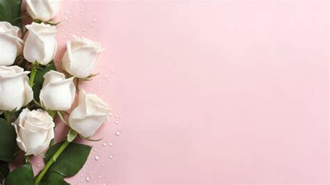 Pink White Roses Banner Free Vectors And Psds To Download