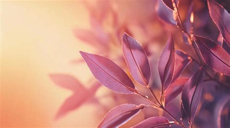 Close Up Of A Leaf With A Pinkish Hue The Leaf Is Surrounded By A Warm