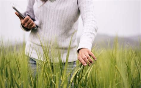 Savills Blog Whats Next Savills