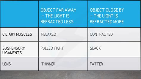 The Pupil Reflexpptx Igcse Coordination Pptx