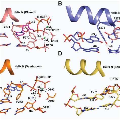 structural differences between the binary and ternary structures