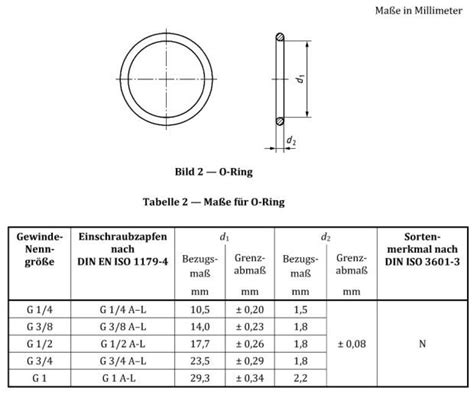 Din 3852 21 O Rings For Bspp Thread Port Ring Der O O Ring Sae