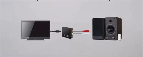 Разъем RCA: что это, виды, особенности. Вход и выход тюльпан