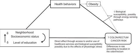 Conceptual Model Of The Relationships Among Socioeconomic Factors