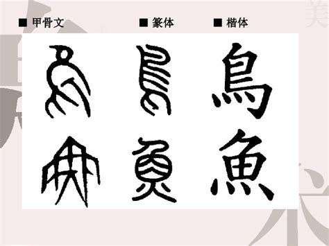 六年级下册美术课件 第9课 图文并茂：变体美术字 人教新课标 共98张ppt 21世纪教育网